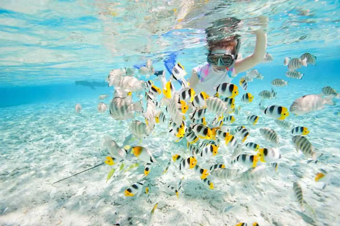 NAC - Cẩm nang du lịch đảo Koh Rong mới nhất, chi tiết A - Z - Nam Á Châu